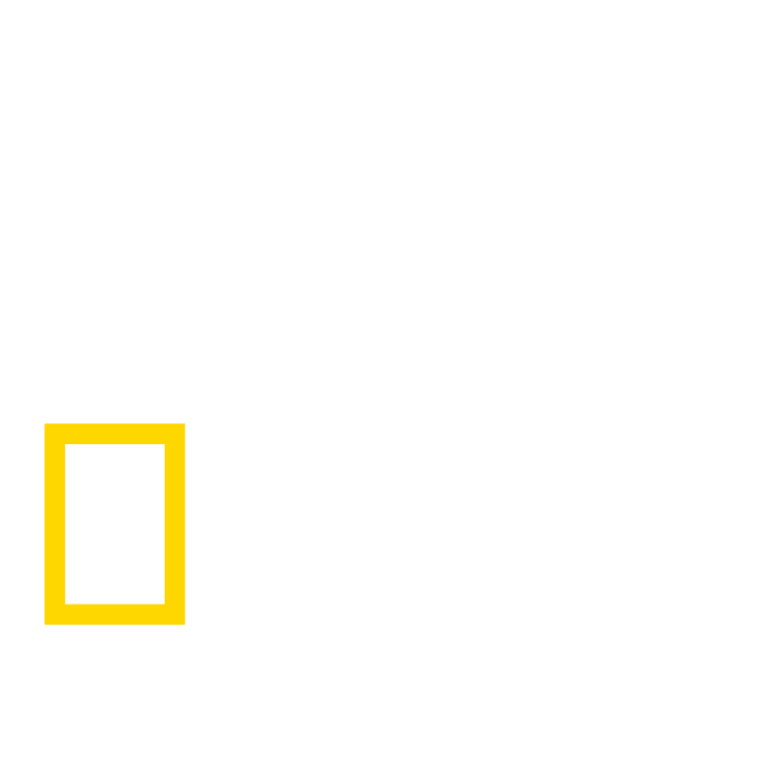 NGL_ELT_GlobalPartnerships_Brochure_In5